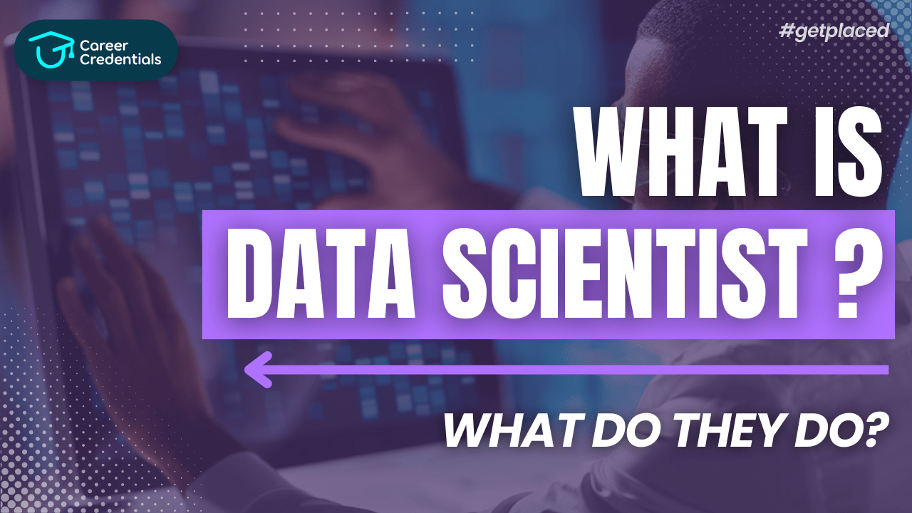 What is Data scientist ? What do they do ? | Blog Portal